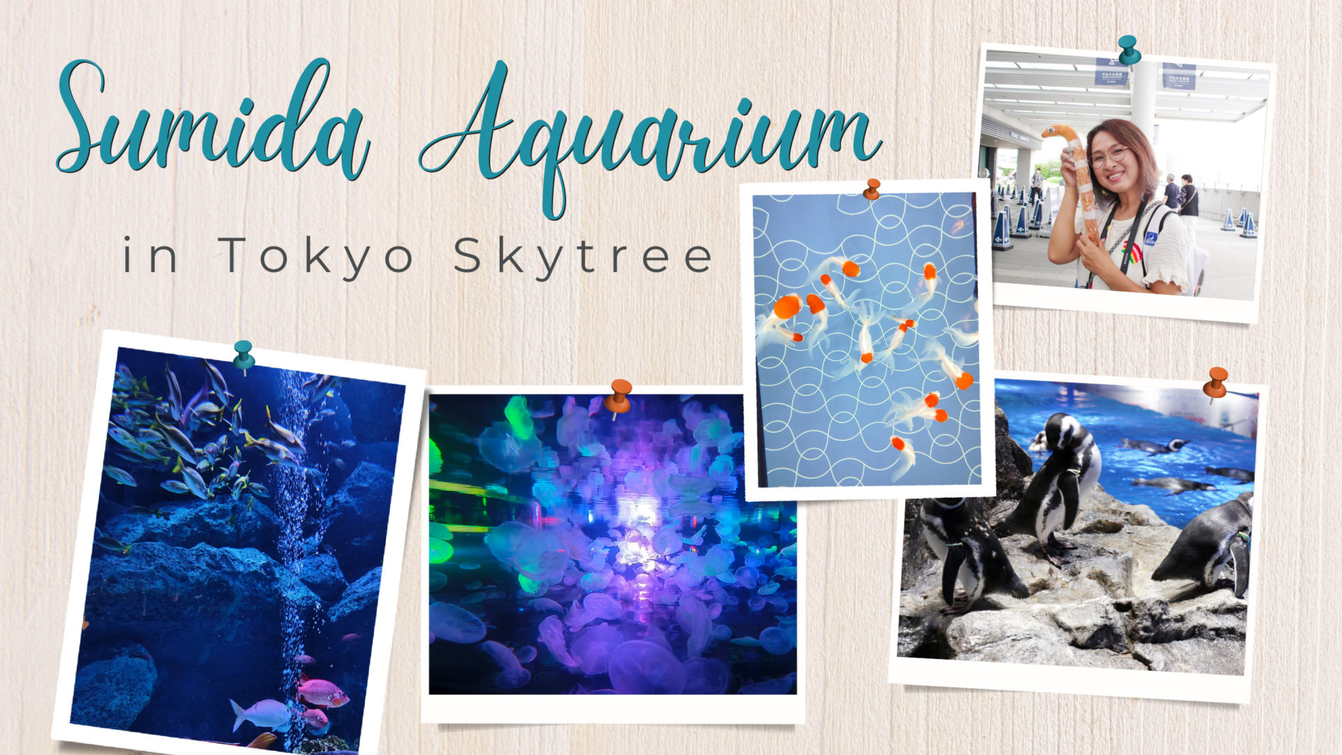 พิพิธภัณฑ์สัตว์น้ำใจกลางโตเกียว Sumida Aquarium in Tokyo Skytree - Madam Sashimi