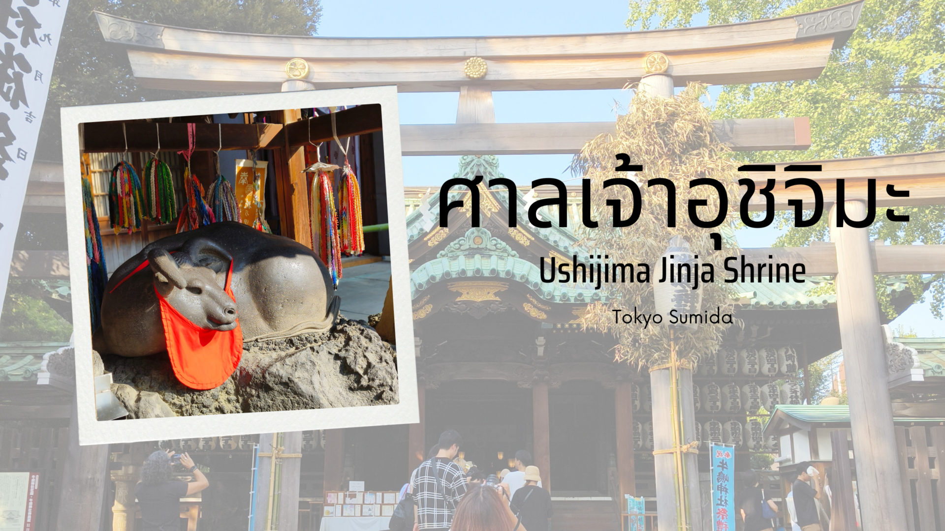 Ushijima Jinja Shrine ศาลเจ้าอุชิจิมะ - Madam Sashimi